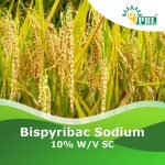 Bispyribac Sodium 10% - Herbicides | Peptech Biosciences Ltd.